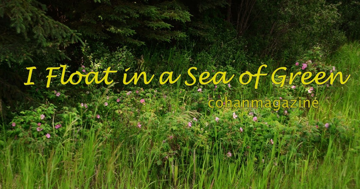 I Float in a Sea of Green- A Midsummer Poem