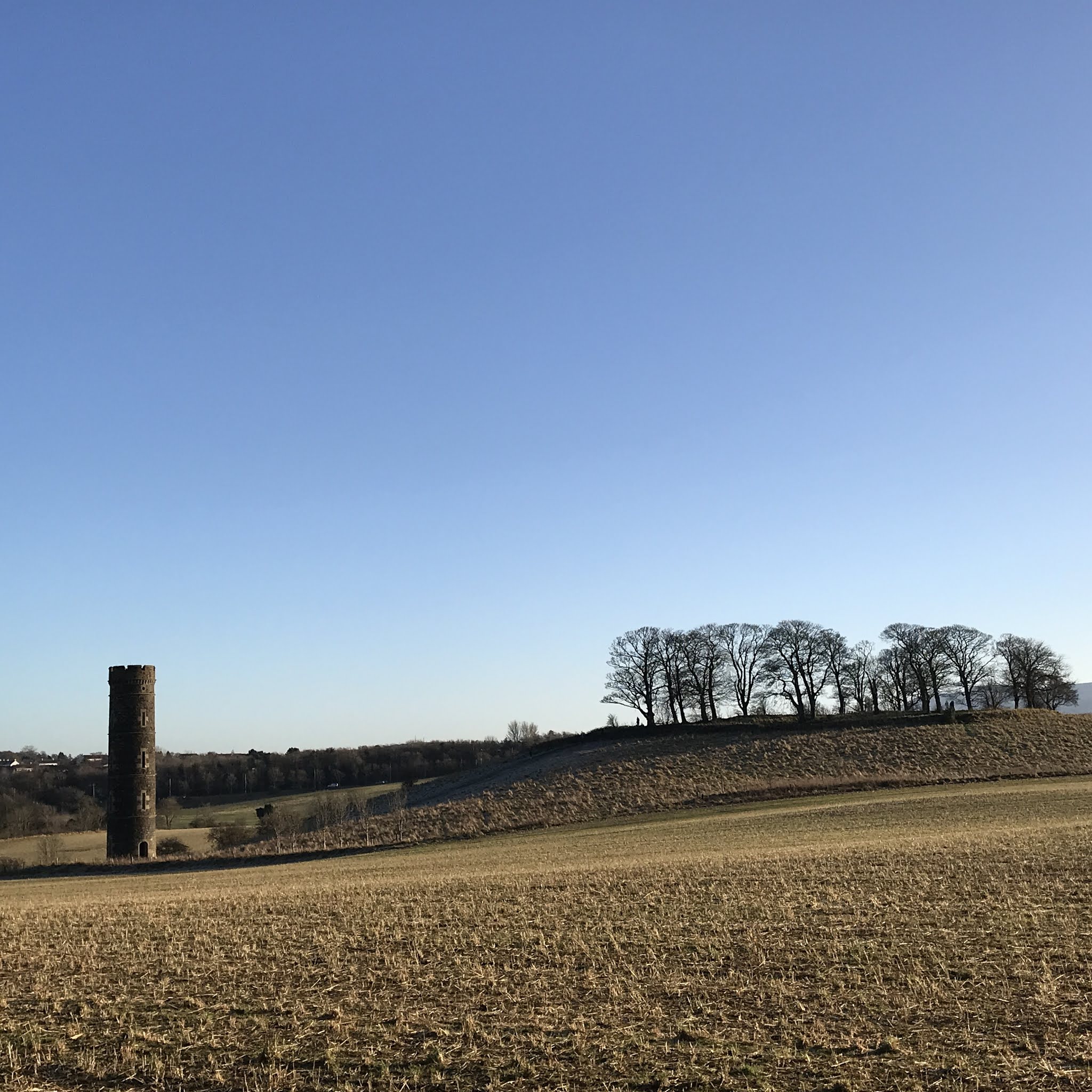 Kevin Nosferatu: Skulferatu #16 - Cammo Tower, Cammo Estate, Edinburgh