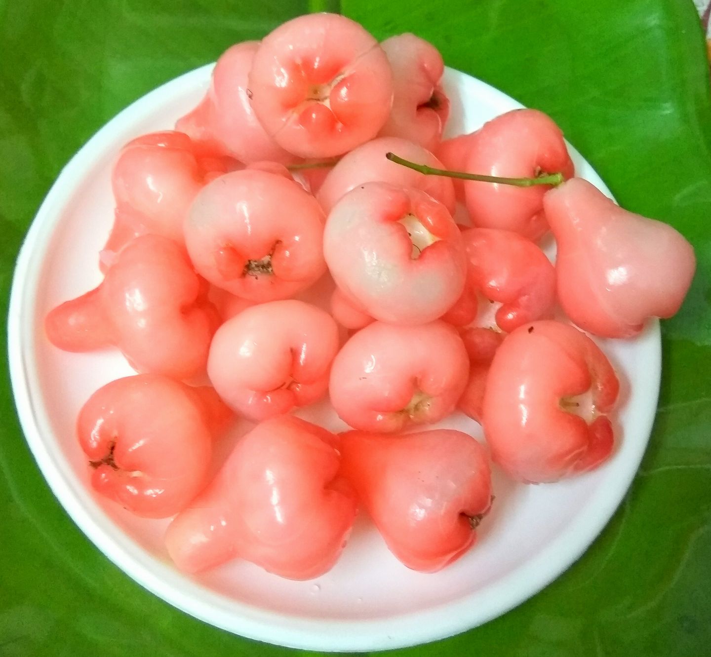 Cooking With Geetha: JAMBU PICKLE / JAMBA NONCHAE /Bell Fruit Pickle ...