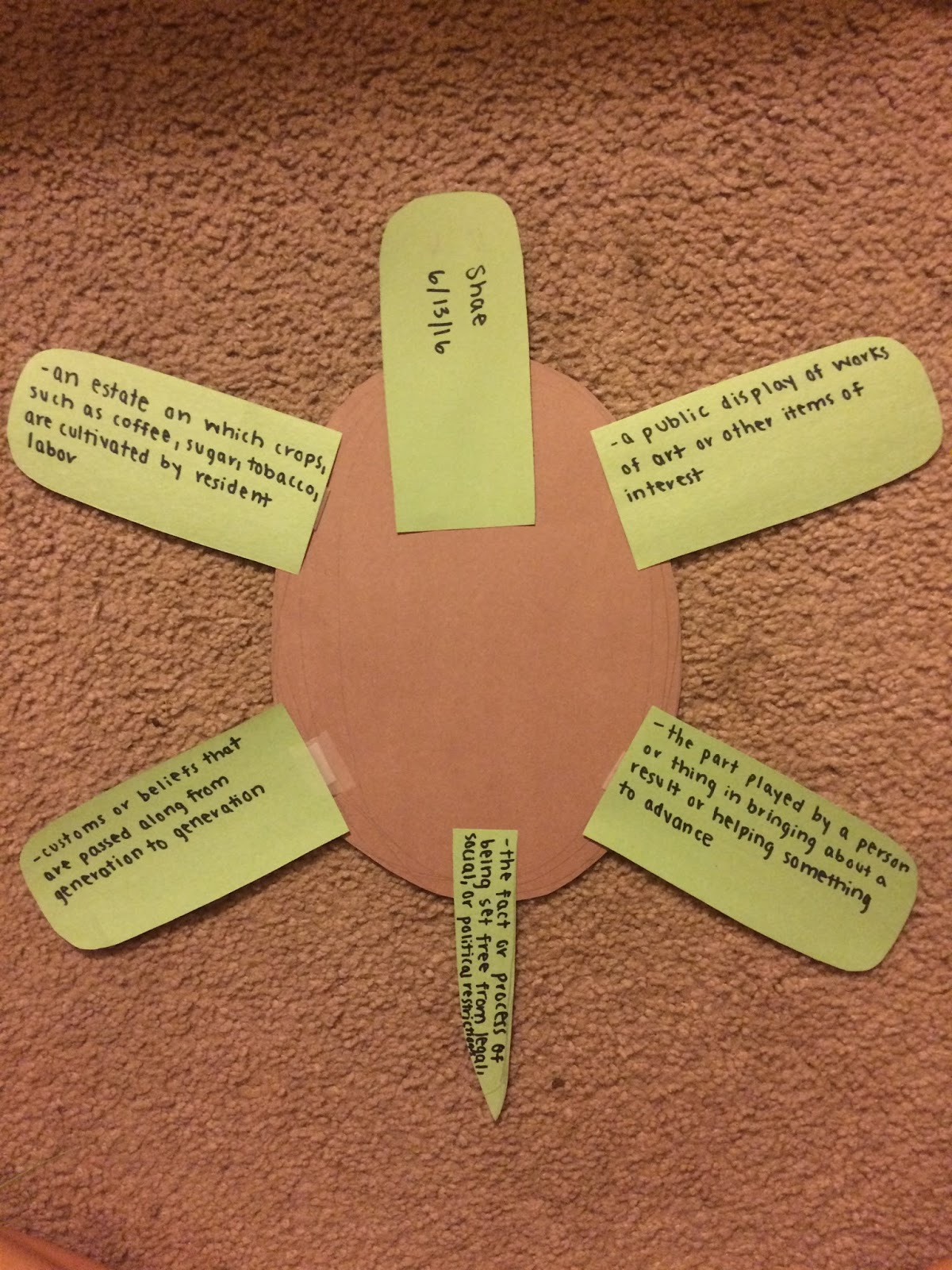 Teaching101: SEA TURTLE - FUN! 3D Graphic Organizer