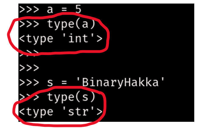 Assembly Language - Data Types - Road To Binary Exploitation | Reverse ...