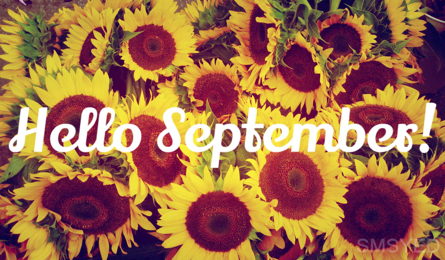 Madeline's Album: WELCOME THE MONTH OF SEPTEMBER