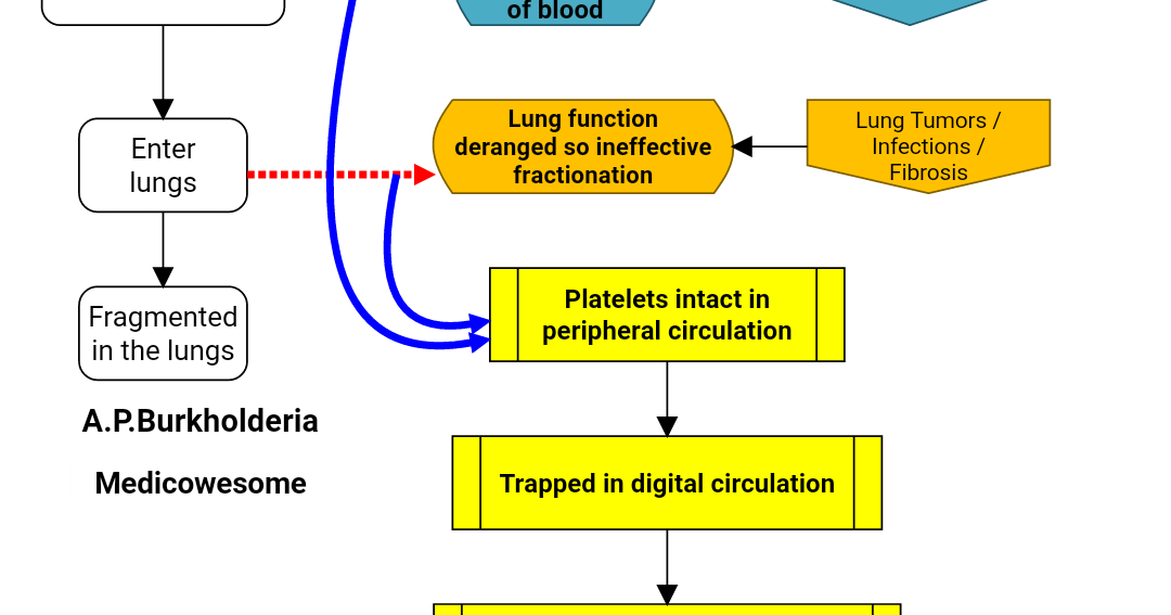 Medicowesome: Clubbing : Why it occurs.