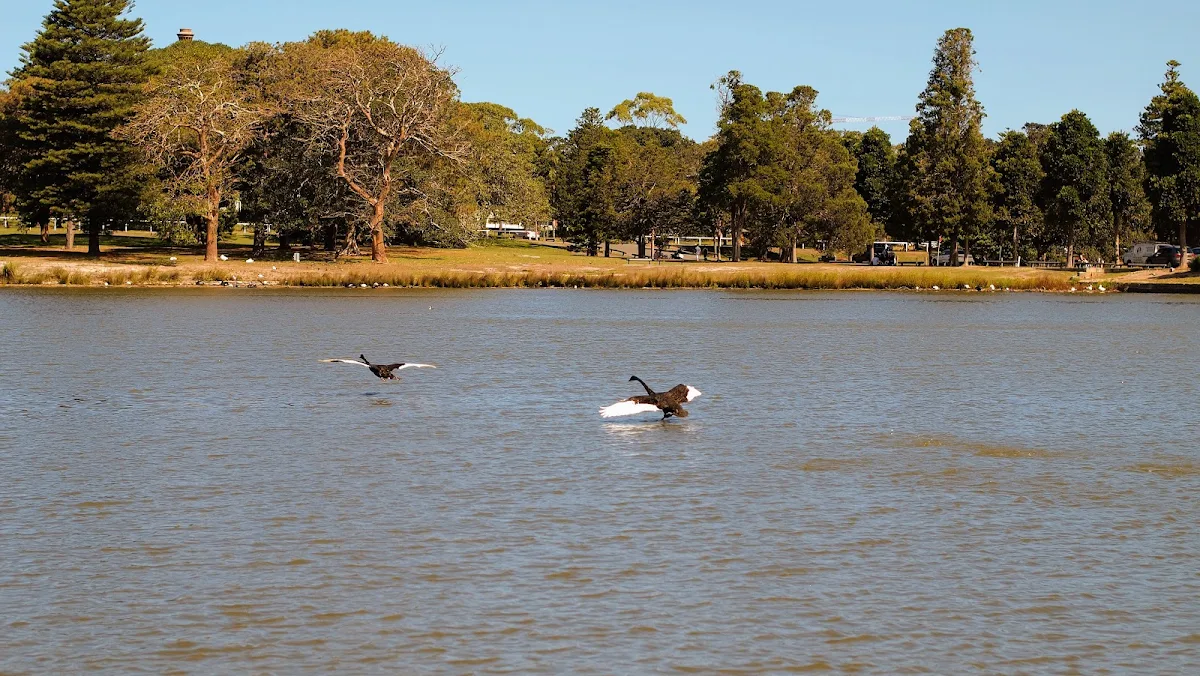 How to See The Best of Centennial Park Sydney on Your Own | Sidewalk ...