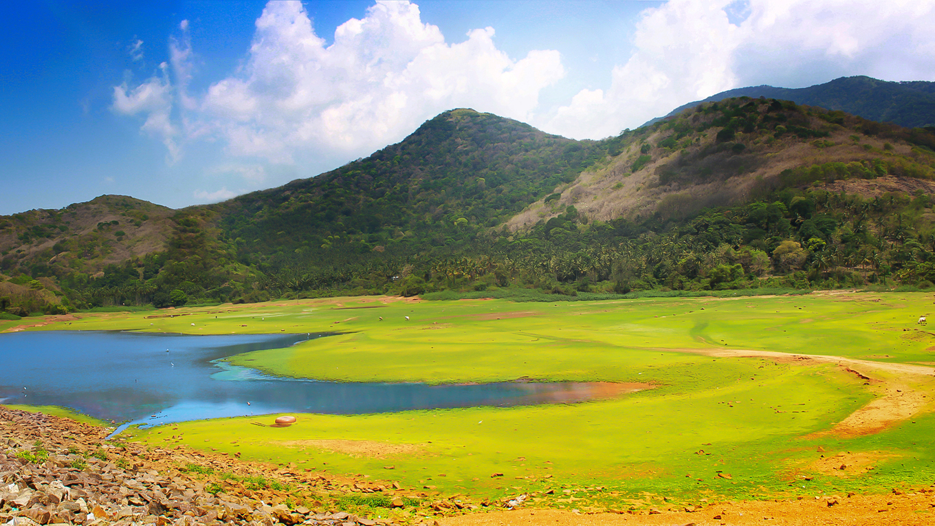 Tamilnadu Tourism: Gundar Dam, Sengottai, Thirunelveli