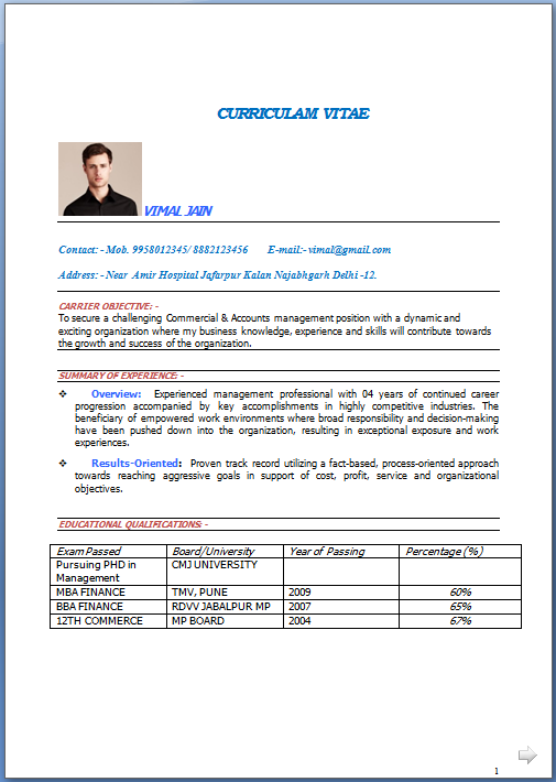 top 10 cv templates - Resume