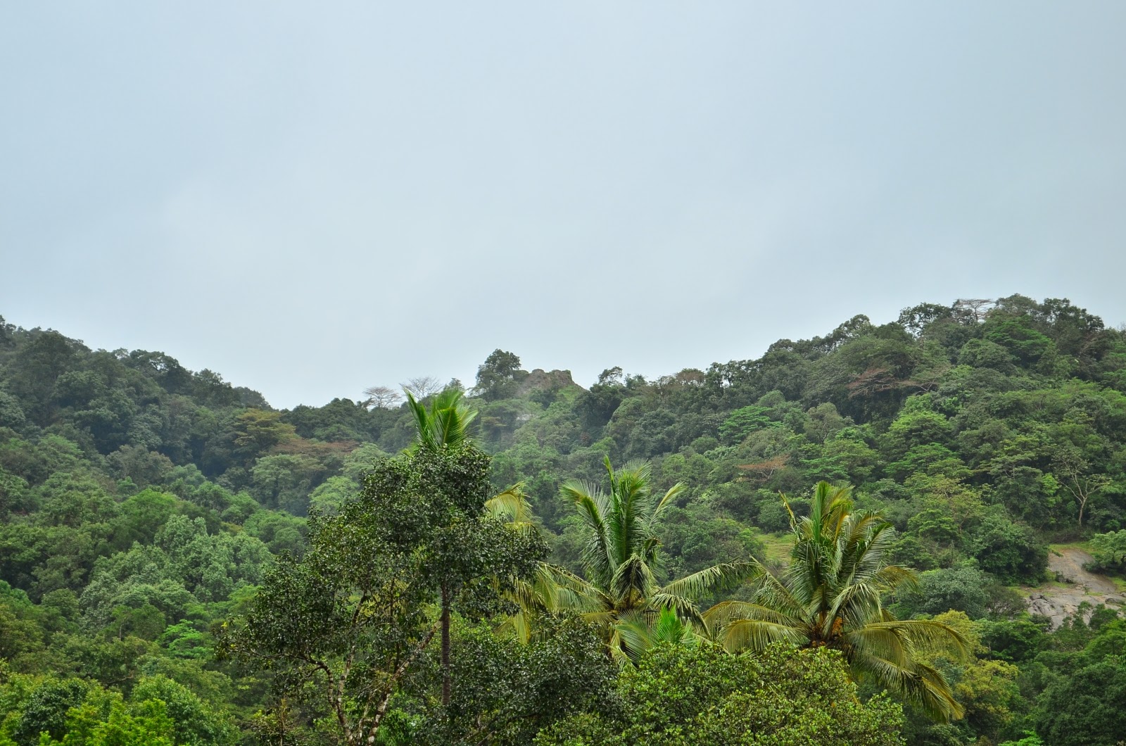 Sharath Hassan A Travelling Photographer: Savehaklu Reservoir, Nagara ...