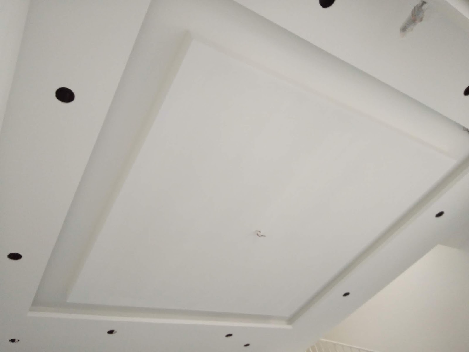 Plaster Siling/Specialist Plaster Ceiling (SBDICE)