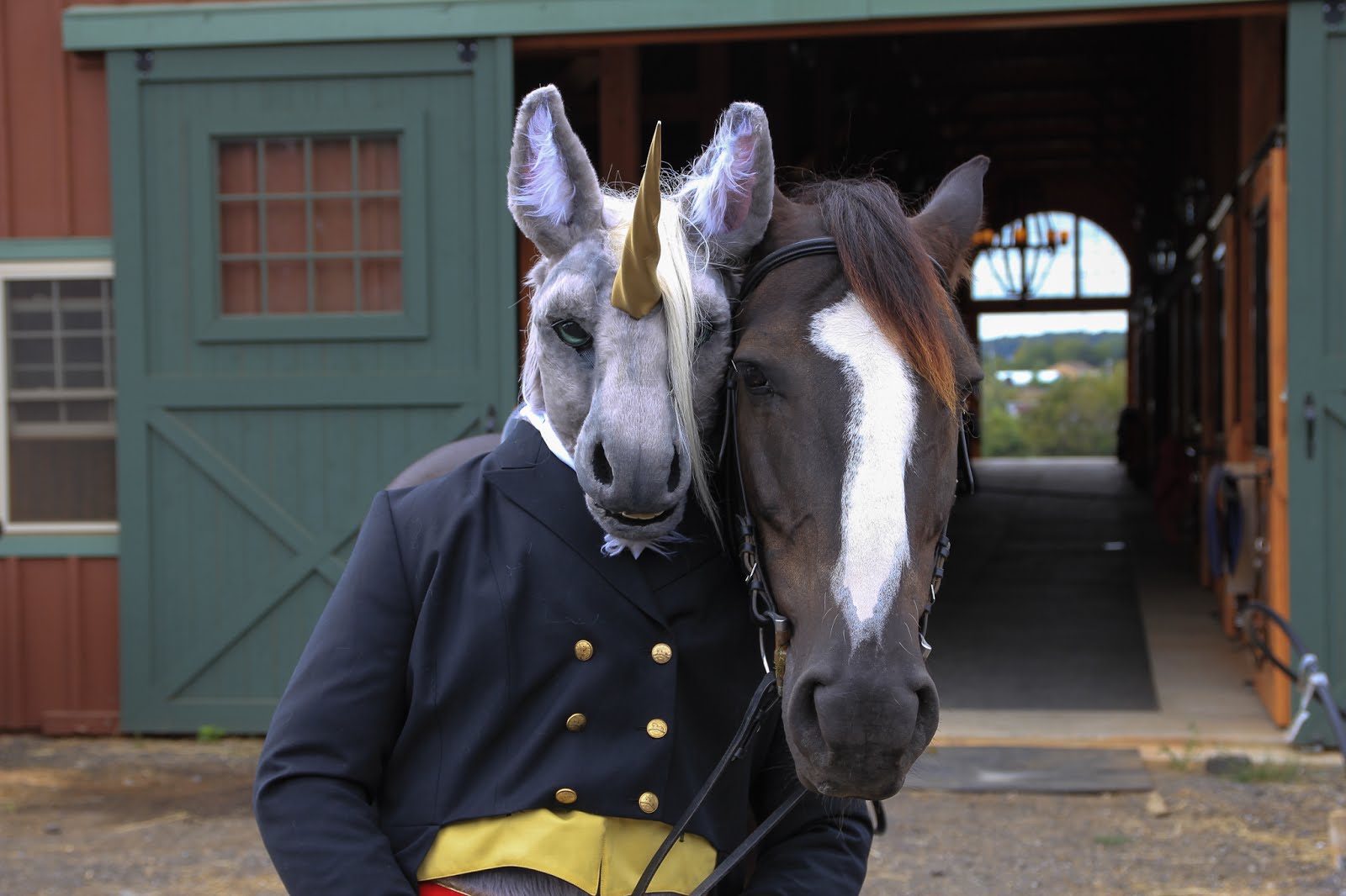 Lord Silvermane's Musings: A horse named Chase