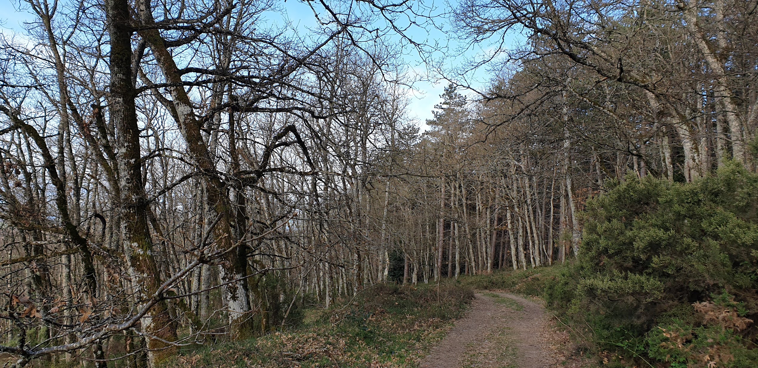 Euskal Herria mendiz mendi: AUMATEGI (1192M), MUGARRILUZE (1111M) ELGEA ...