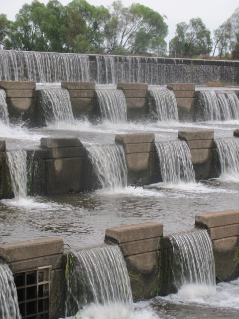 Robbiebago Adventures: Neil Turner Weir, Mitchell