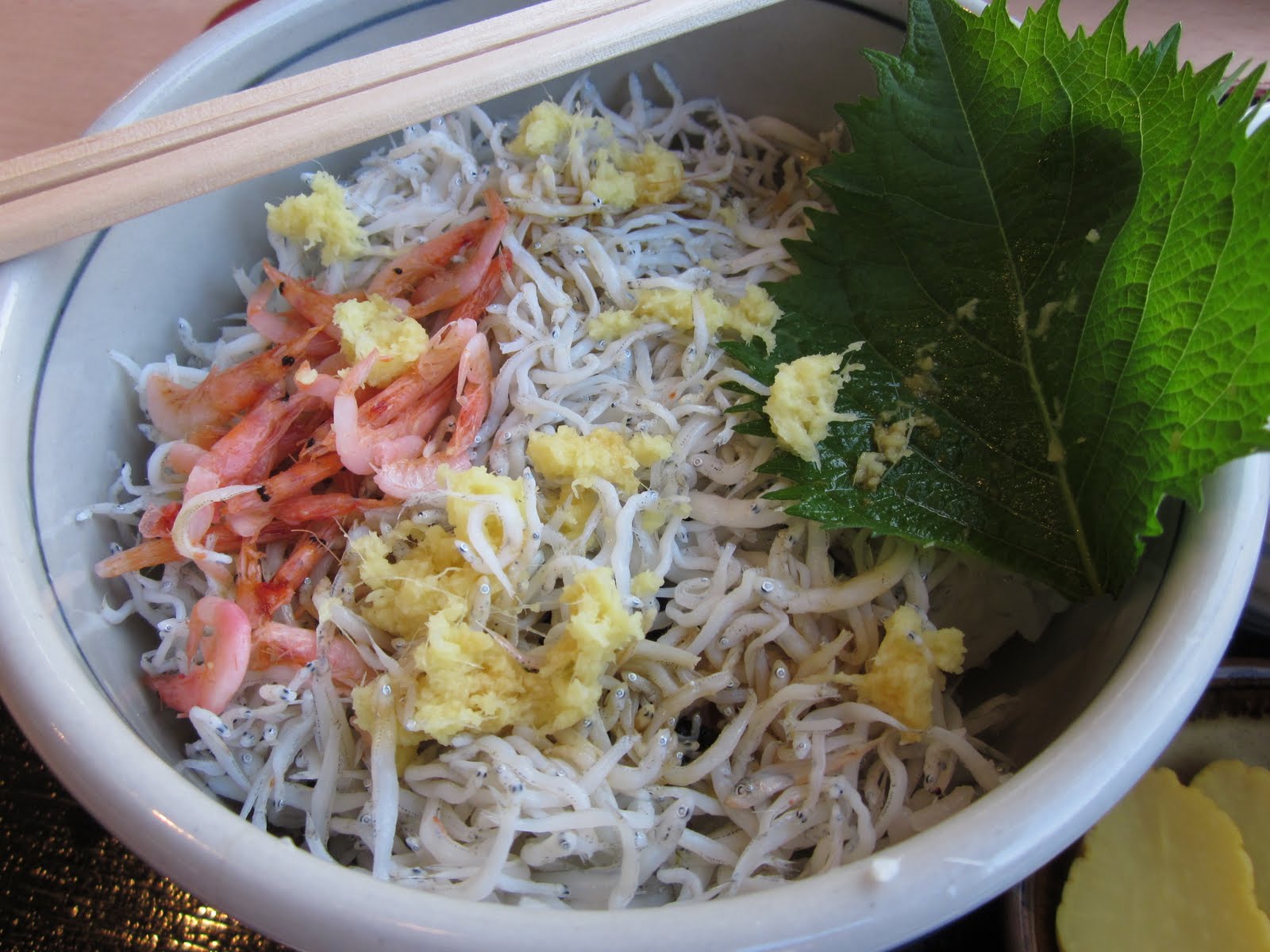 The Japan Chronicles: Fun on Sacred Shores 2: An Enoshima Travel Guide.