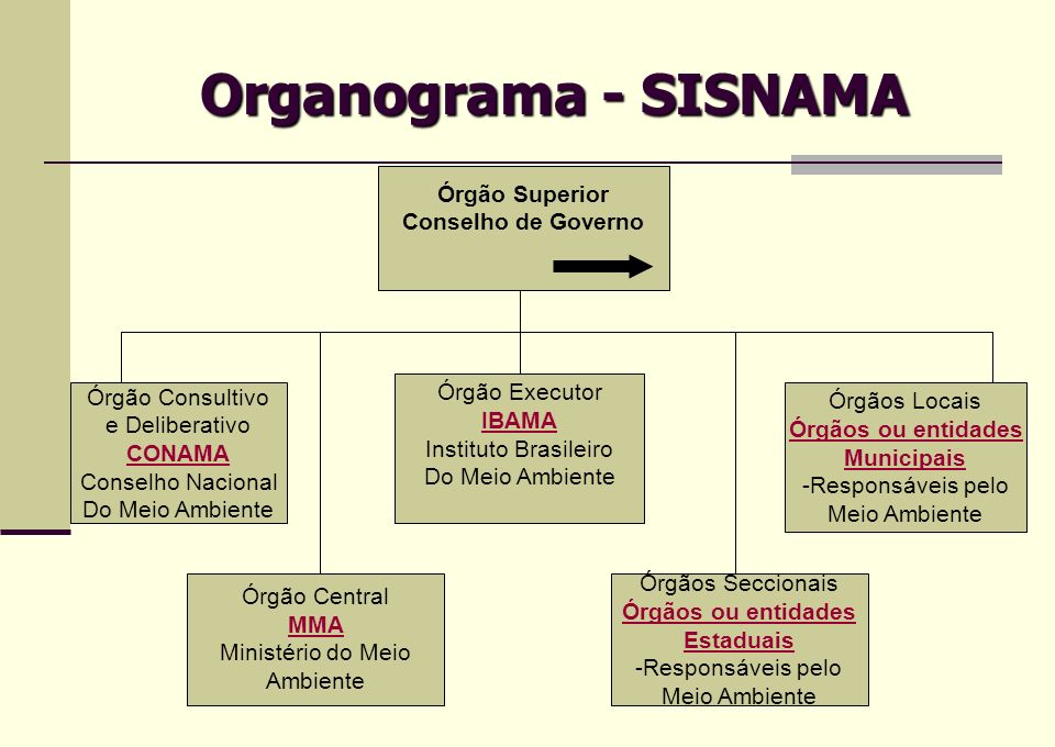 As competências dos SISNAMA ~ Alvo Consultoria