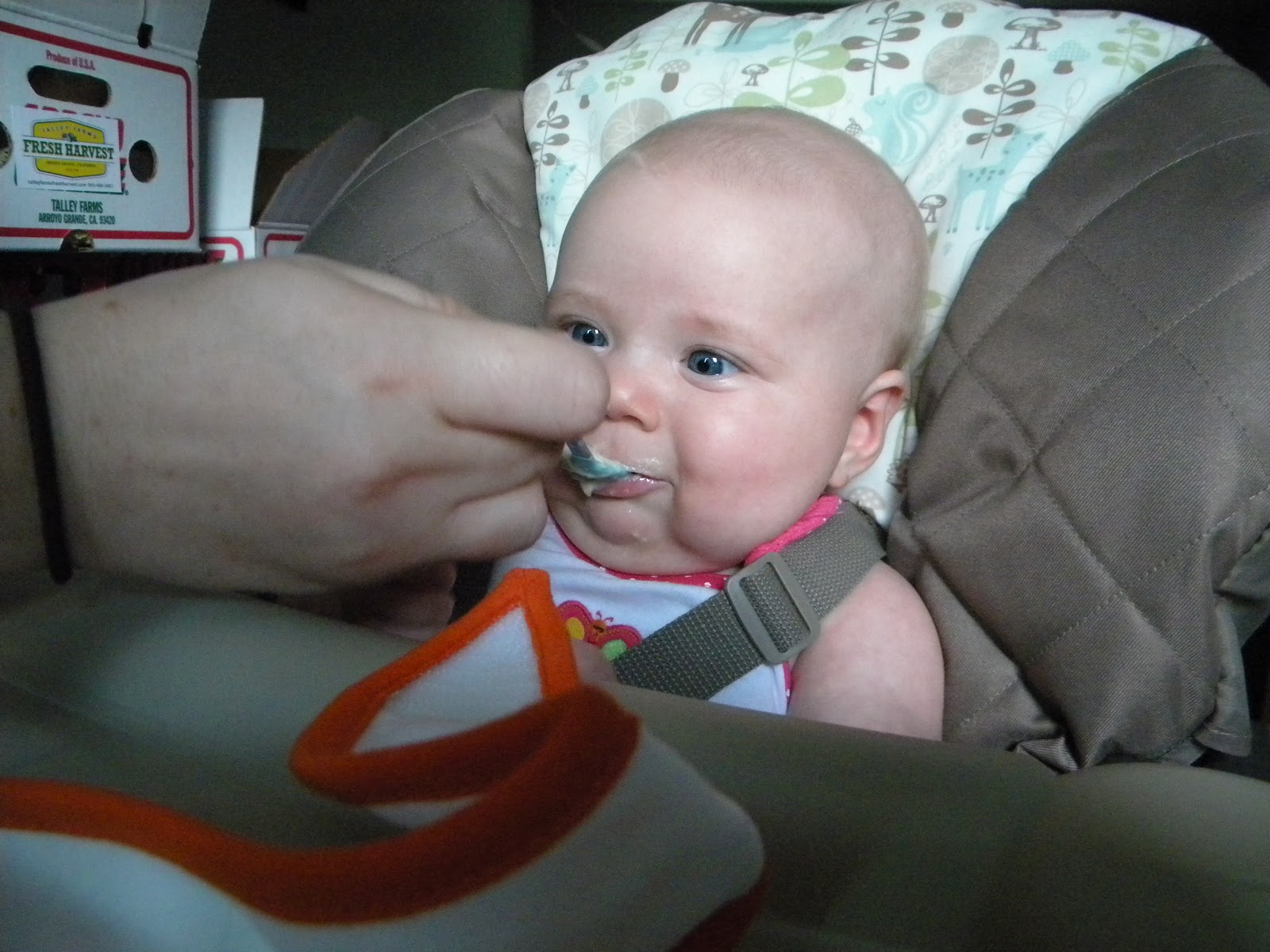 Squishy's Mama: My Child is Skippy Jon Jones