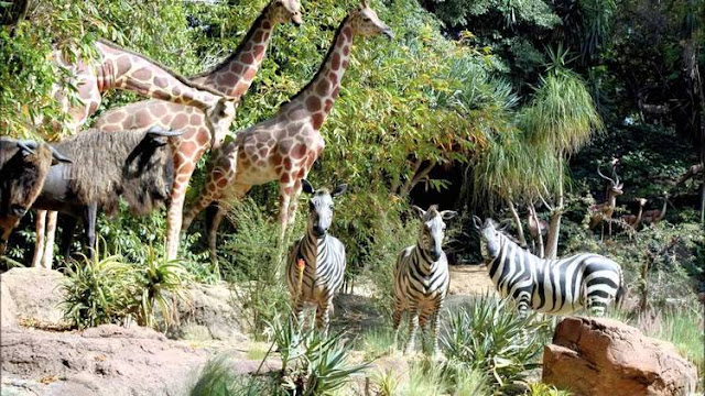 Pengertian Ekosistem Adalah : Definisi, Komponen dan Jenis-Jenis ...