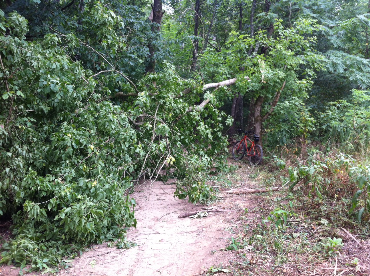 family//bike//words: Trail Storm Damage