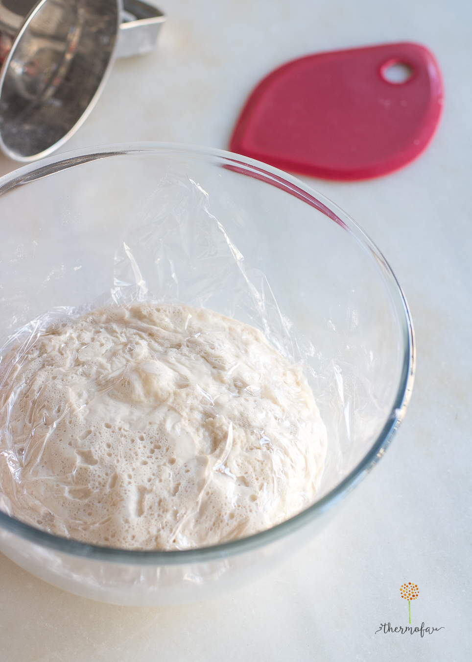 Biga. Prefermento — Thermofan