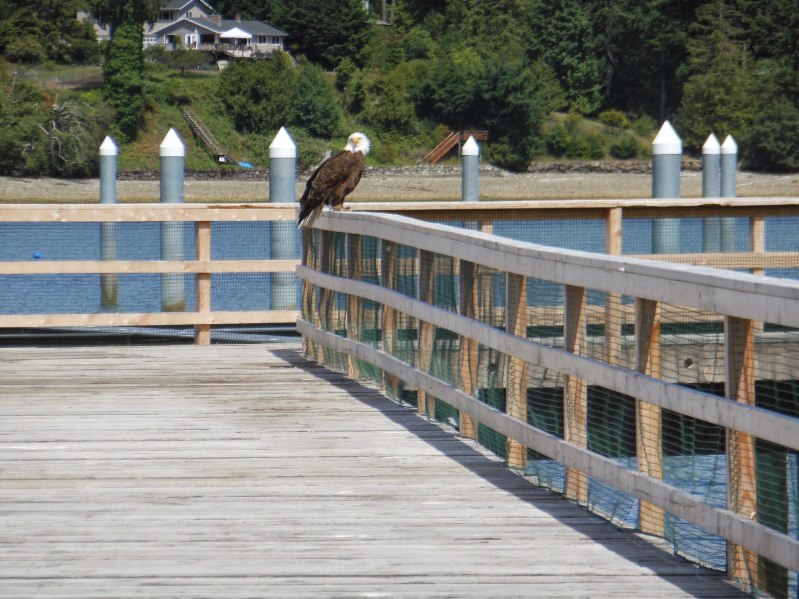 Trekking with the Bs: Seabeck, WA