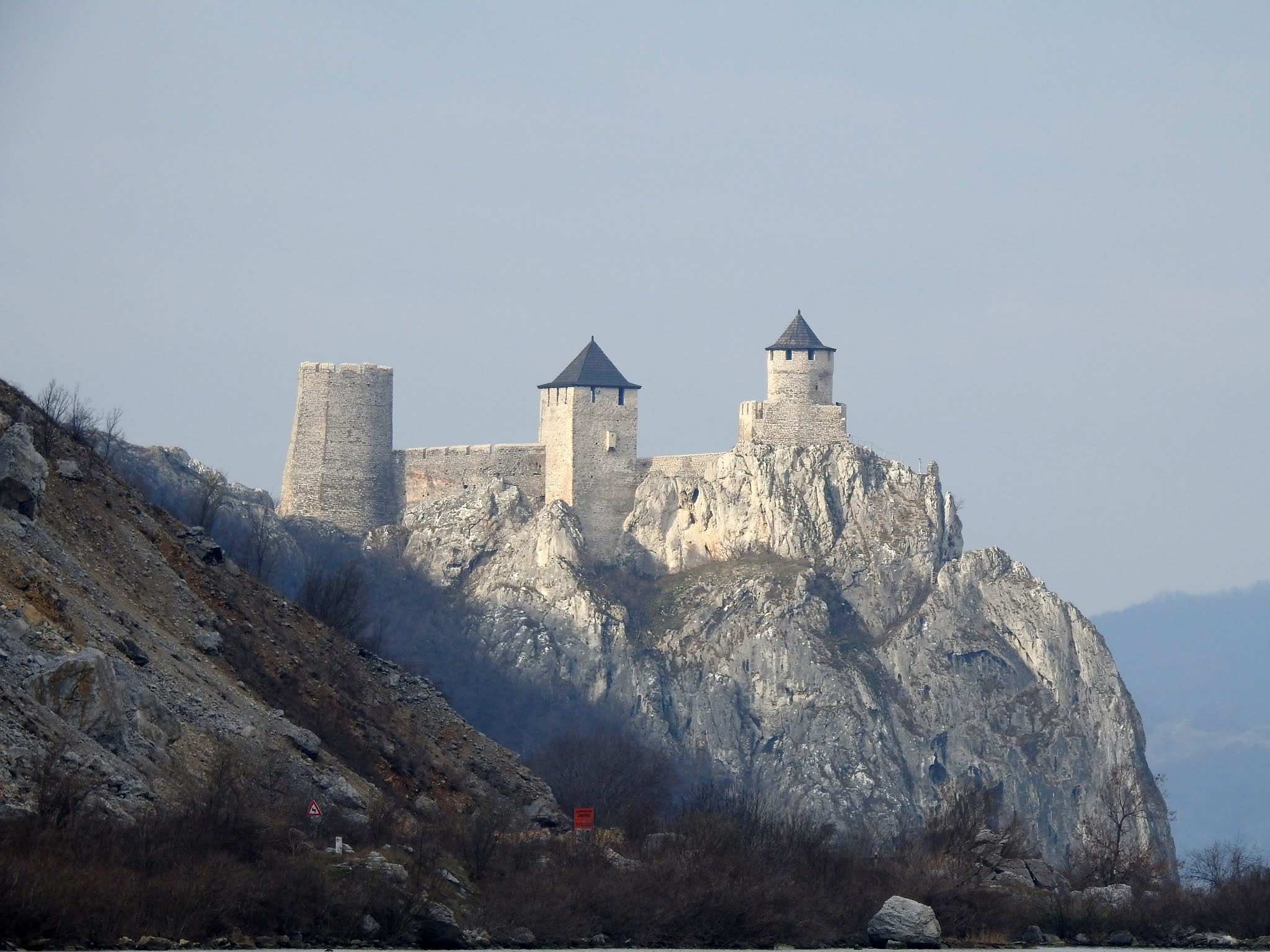 PASARI DIN ROMANIA: ACVILA DE MUNTE, Aquila chrysaetos