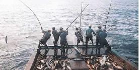 Biru LautKU: MENGENAL ALAT PENANGKAP IKAN