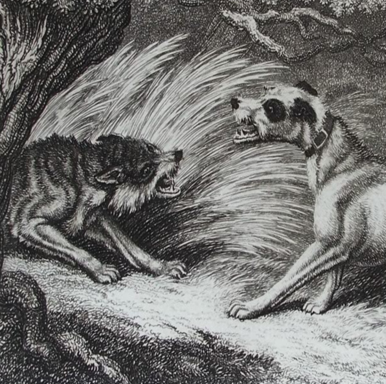 The "Lone Wolf" Graphic Arts Technologist: The Parable of the Dog...