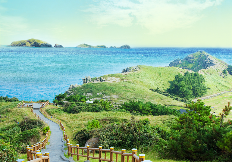 Pulau Jeju – Festival Bunga Lotus di Jeju (1 Juli – 30 September)