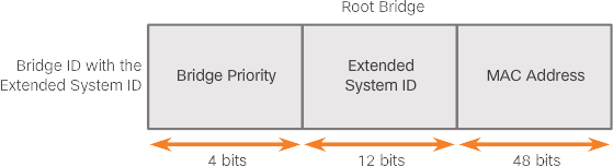 CCNA Complete Course: STP Spanning Tree Protocol | Root Bridge
