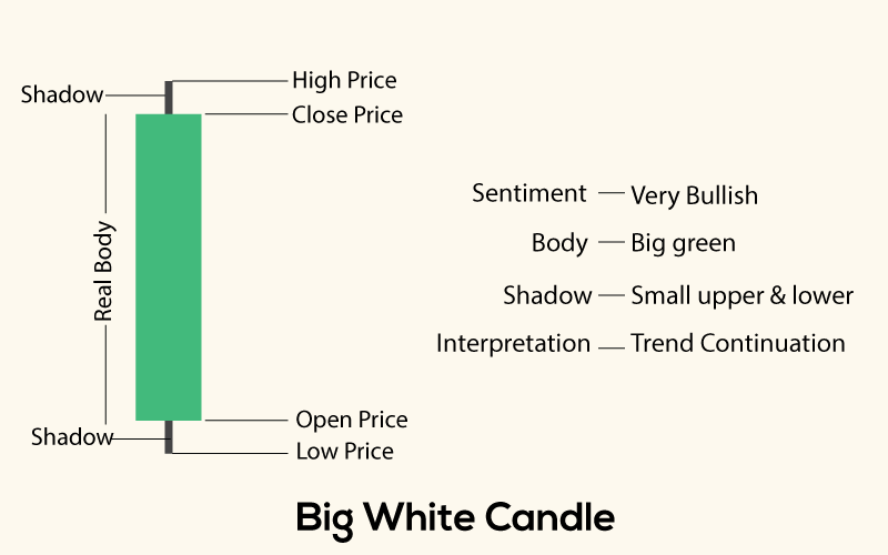 How To Read Single Candlestick Patterns? - tube zero