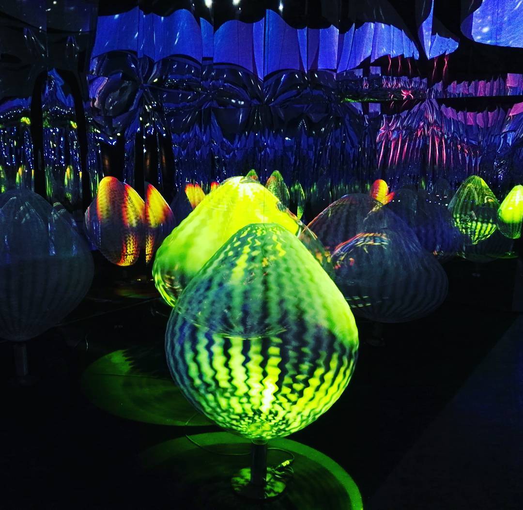 Artec: Paul Friedlander