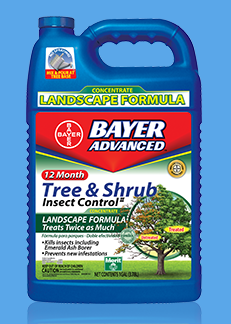 Xtremehorticulture of the Desert: Should I Use a Systemic Insecticide ...