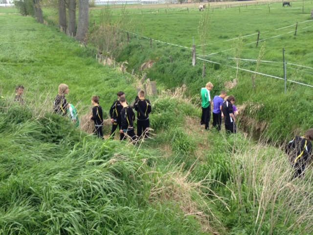 plaspauze images - usseek.com