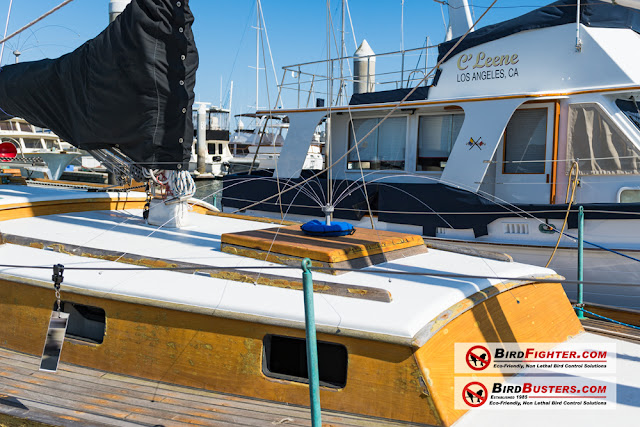Keep Birds off your Boat using Boat Bird Deterrents!