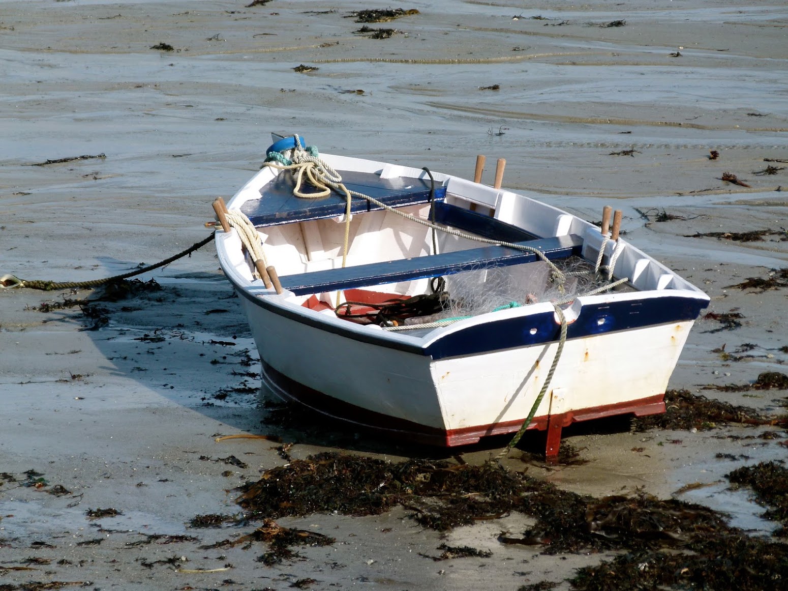 Le retour chez Canelle: Barques