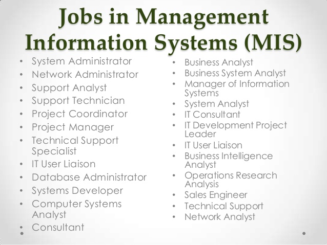 Solutions Player Web Designing,Web development & Seo services in ...