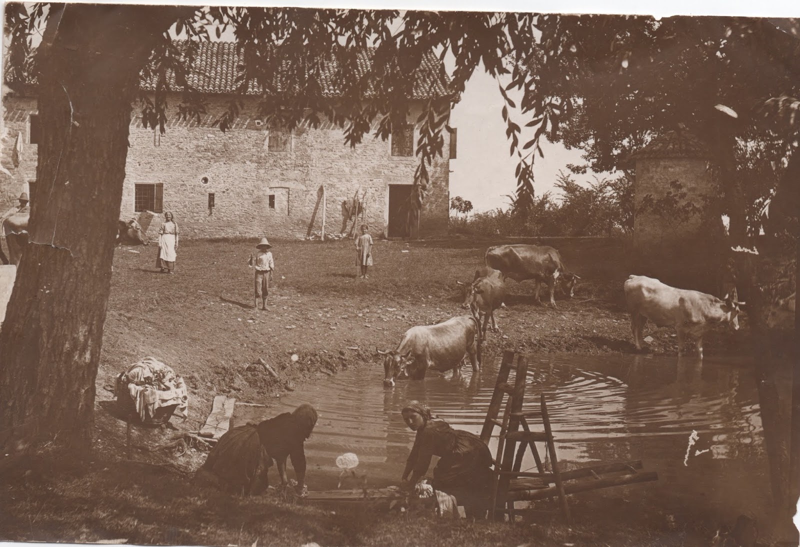 Albinea cartoline : Montericco