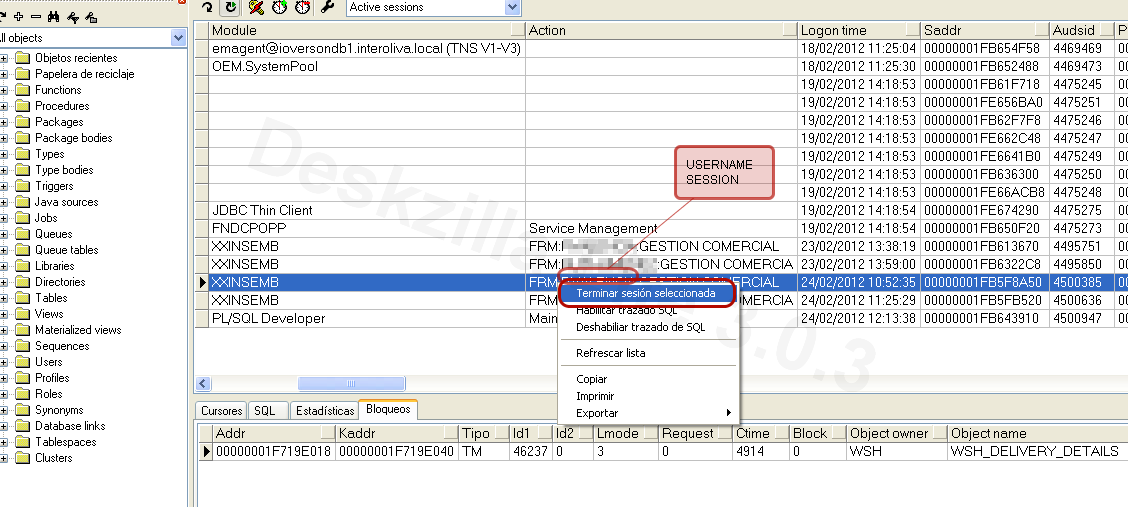 Oracle Kill Session Is Not Valid Lasopaspy