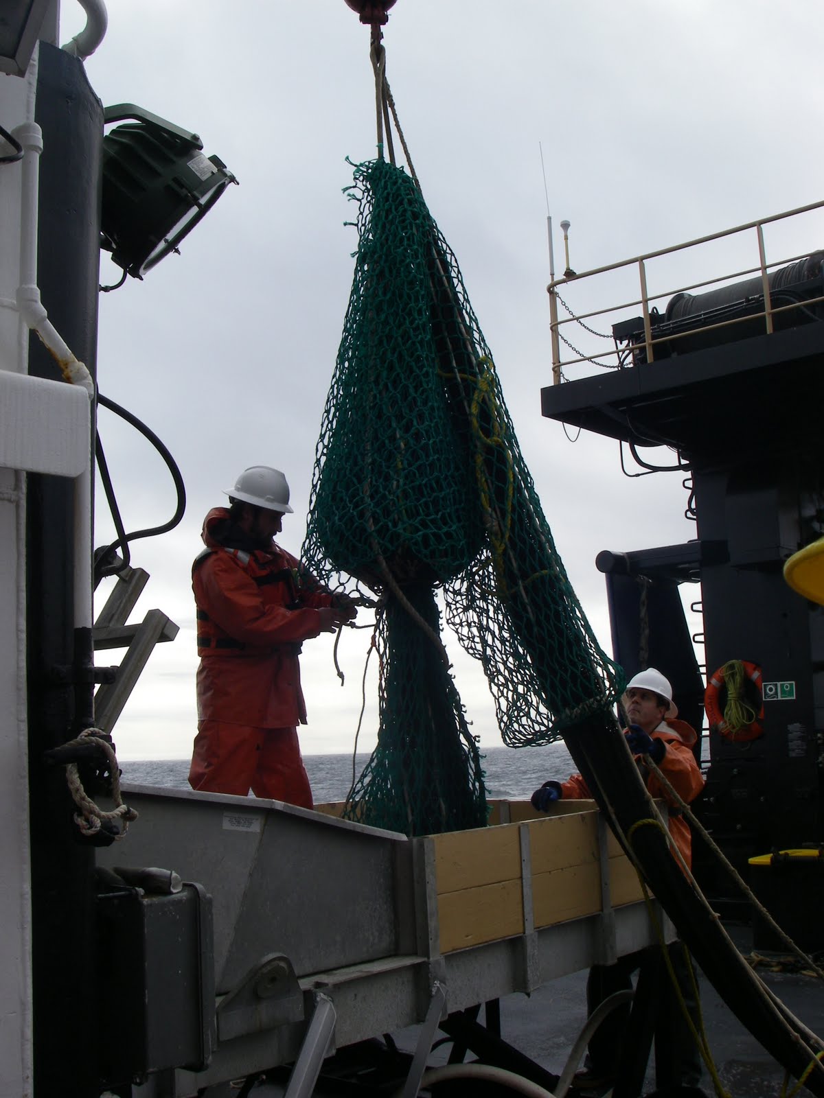 Tammy Orilio's Teacher at Sea Adventure!: Trawl Gear