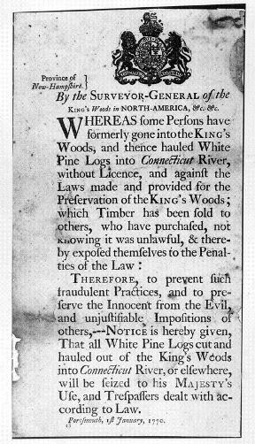 Heroes, Heroines, and History: Trees Rooted in Revolution