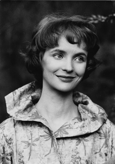 Welcome to the Bizarrechats of Michael F. Housel, Author of the ...