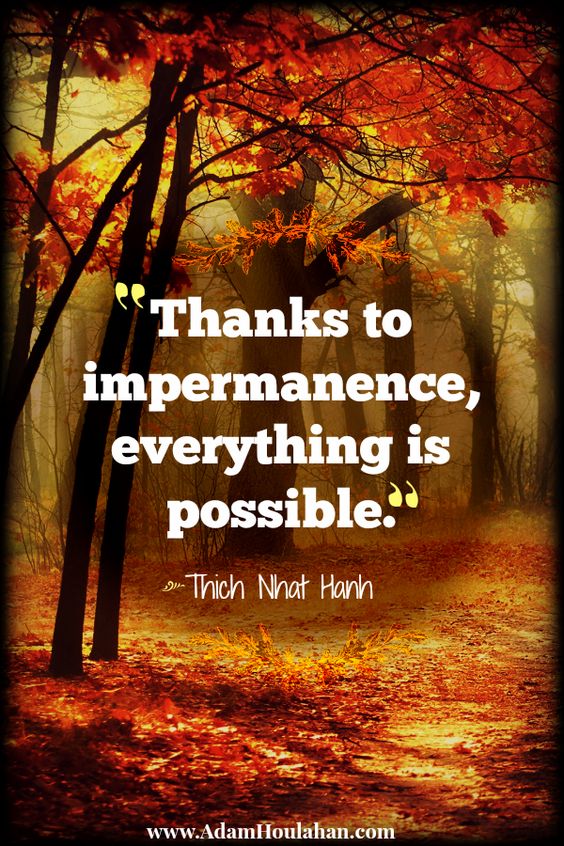 Matter of my words: Change, impermanence and the ever evolving life