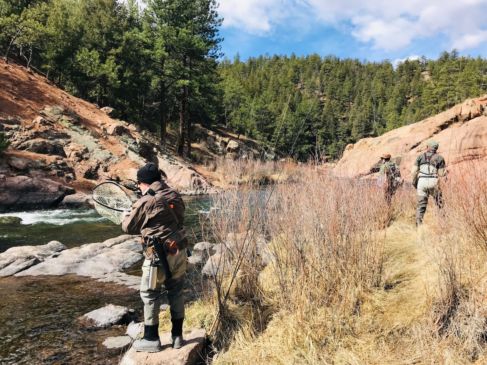 no longer at ease: March 2019