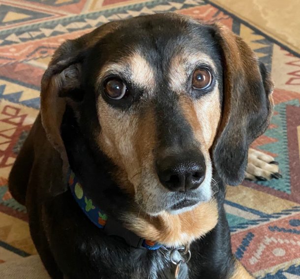 Travel Rants and Raves