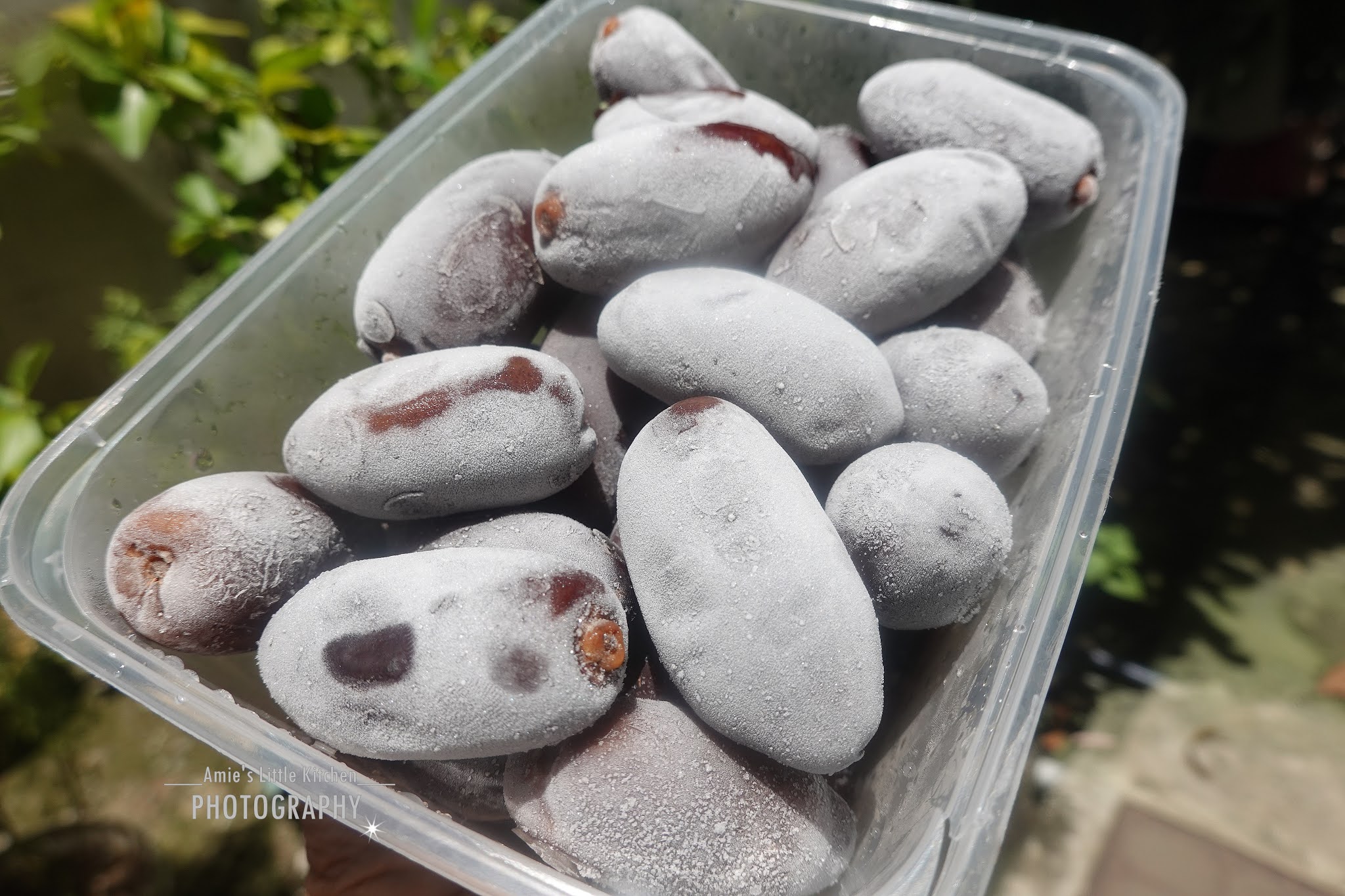 Kurma Ais Dari Mekah & Madinah Kini Berada di Rumah Sendiri! - Amie's ...