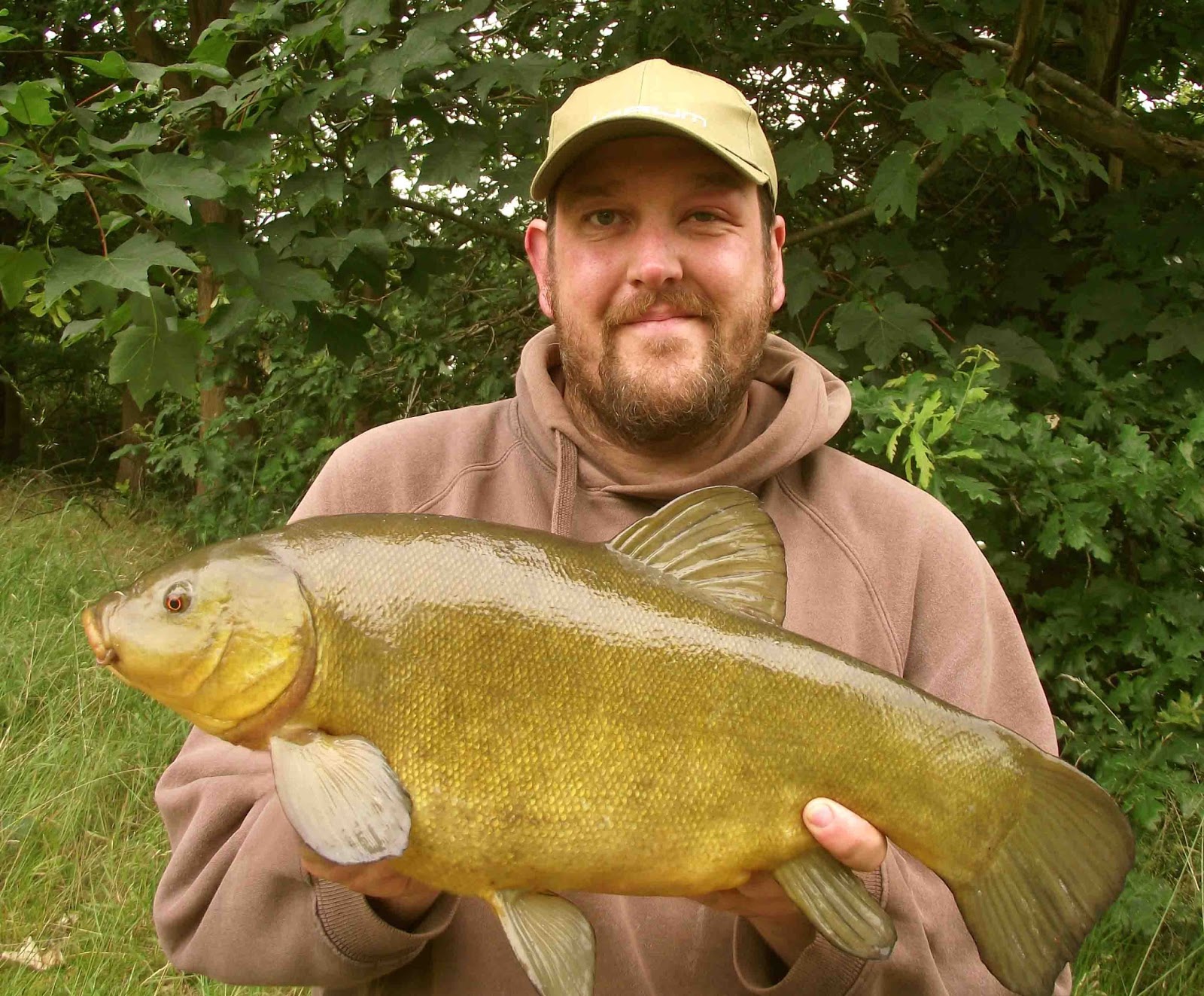 The Lure of Angling: The lake #20 Hola tenca