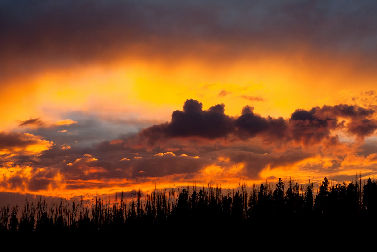 Light. Places. Time.: Sunset over Central Plateau. Yellowstone National ...