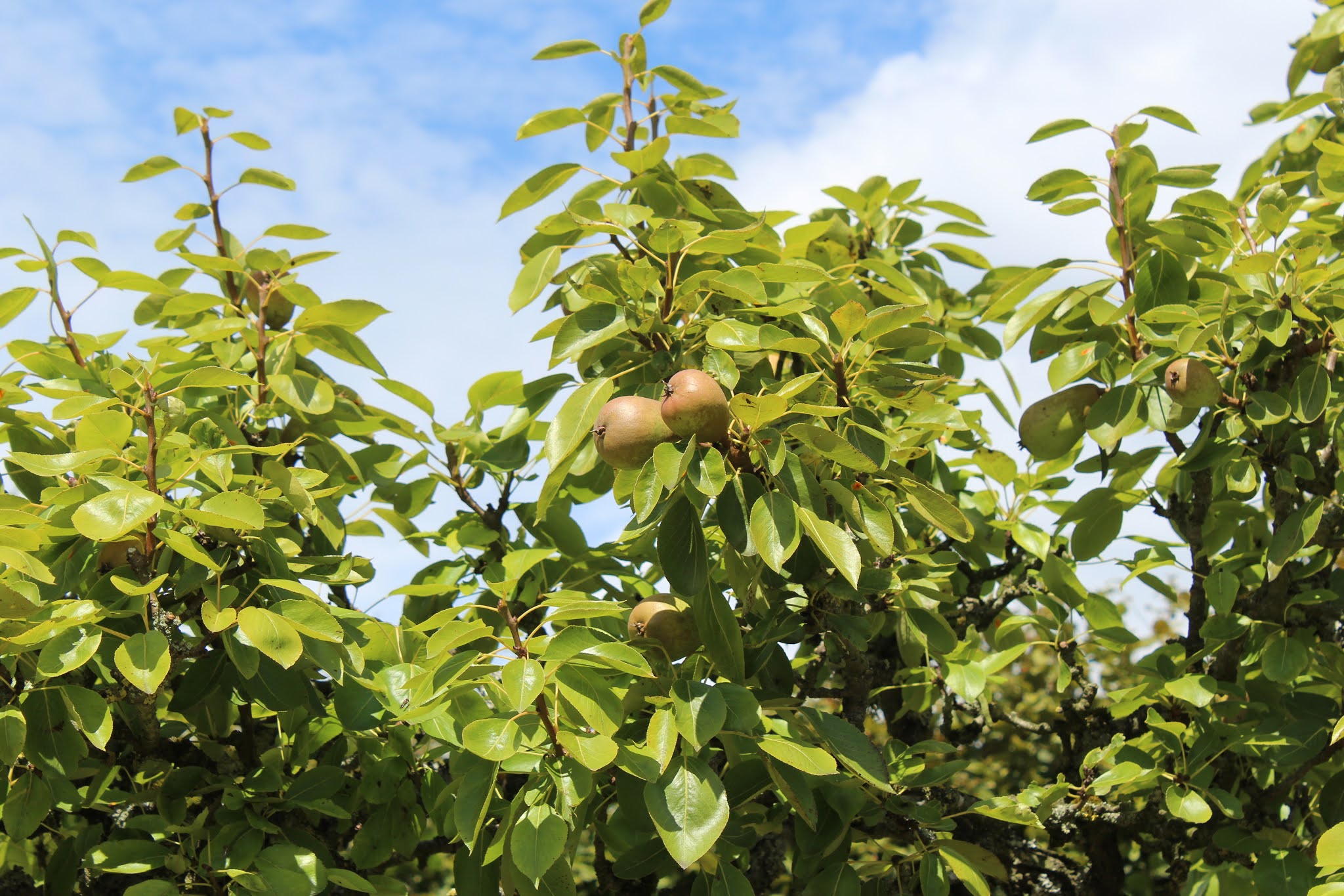 Another National Trust Treasure | Hardwick Hall