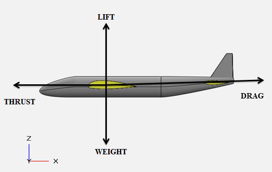 Fundamental Forces of Flight.