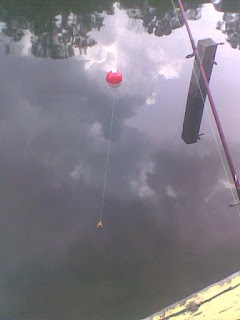 Floating Rigs | THE ANGLERS