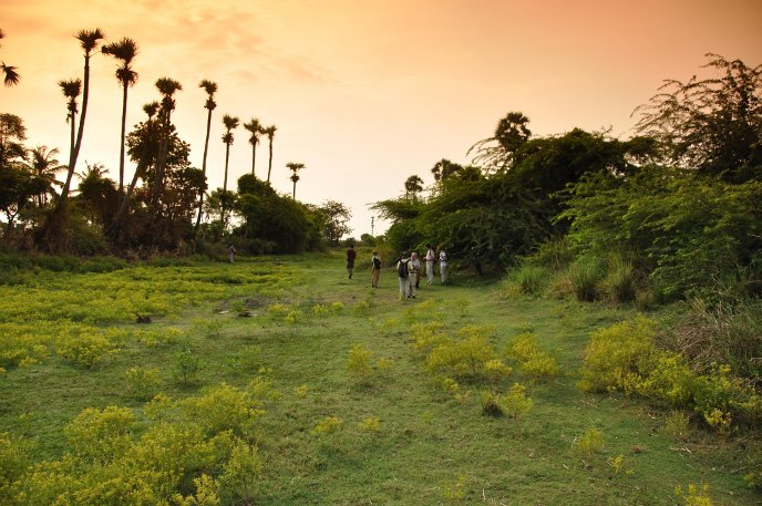 The Gerry Martin Project