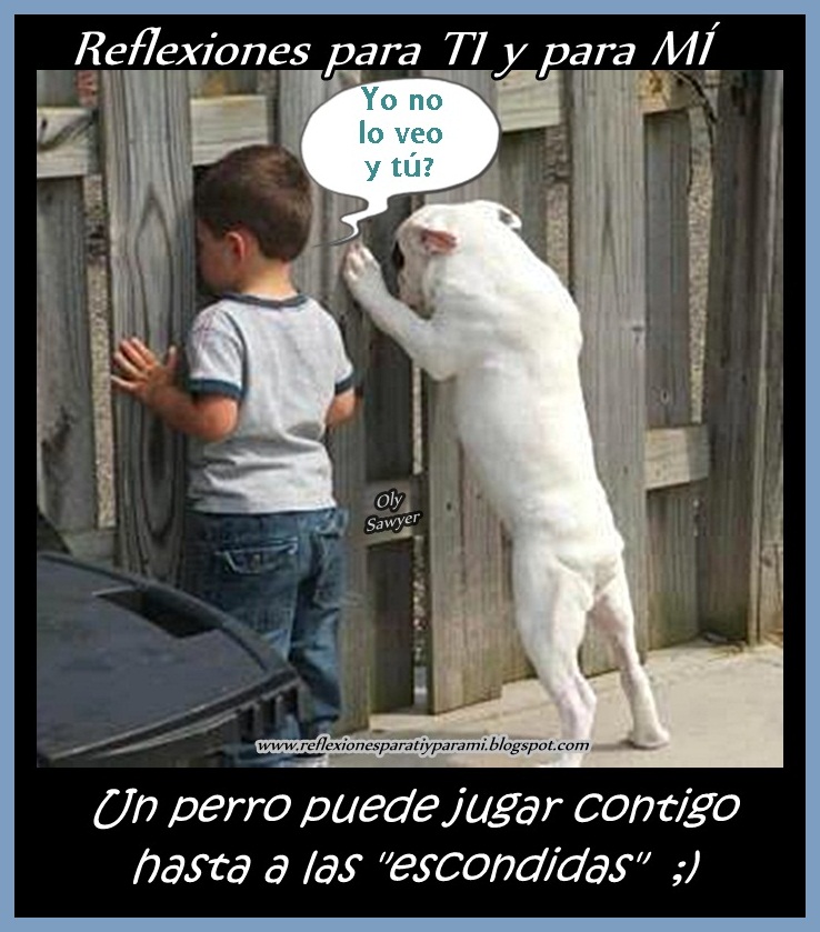 Reflexiones para TI y para MÍ: // Un perro puede jugar contigo hasta ...
